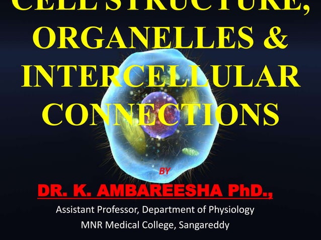 Cell & its organelles, inter cellular conections | PPT
