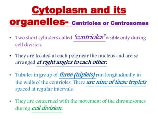 Cell & its organelles, inter cellular conections | PPSX