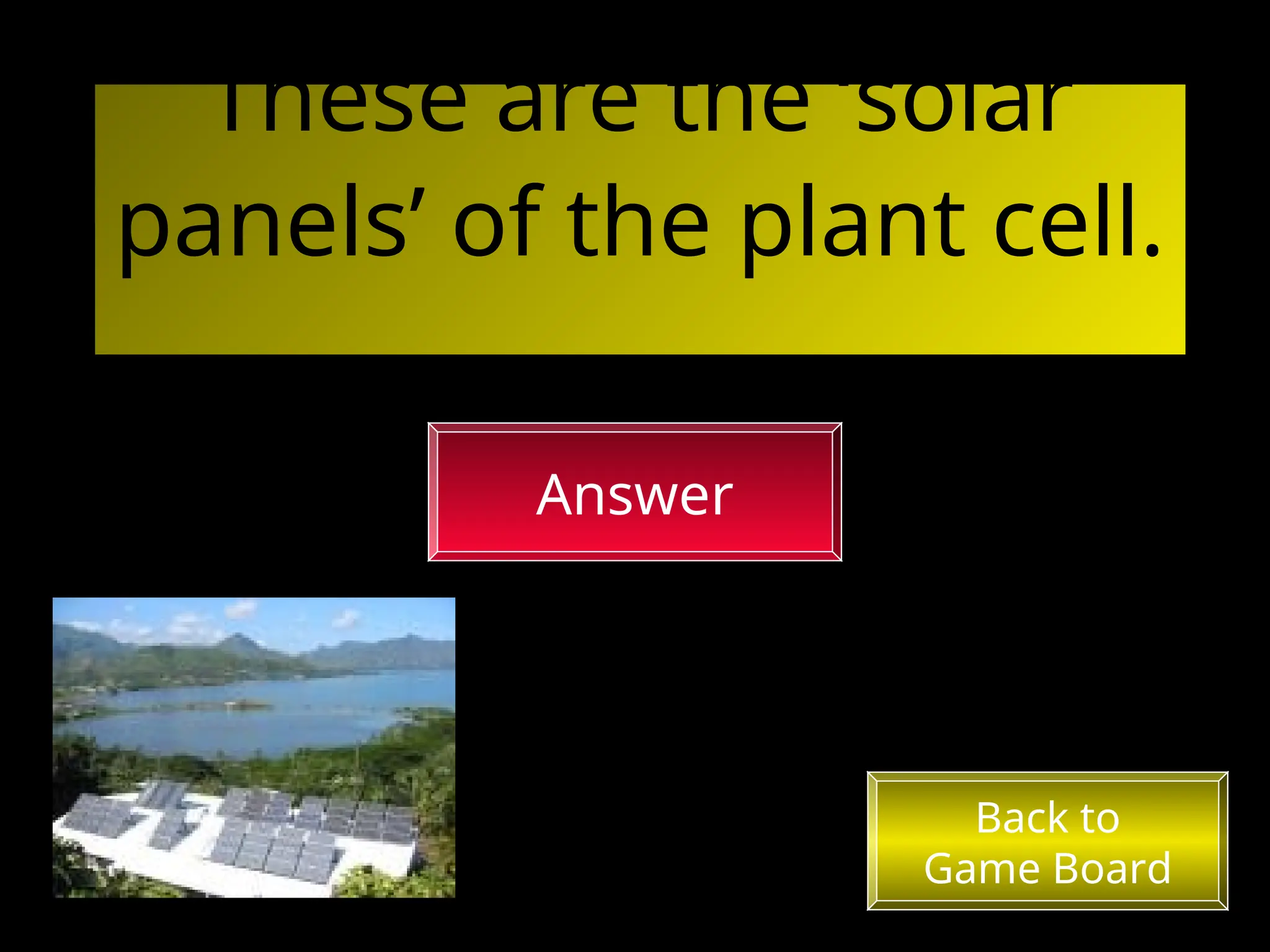 celljeopardygame.ppt an interactive gam | PPT