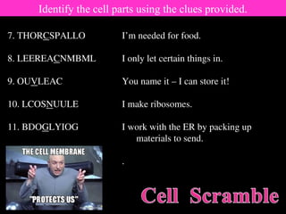 celljeopardygame.ppt an interactive gam | PPT