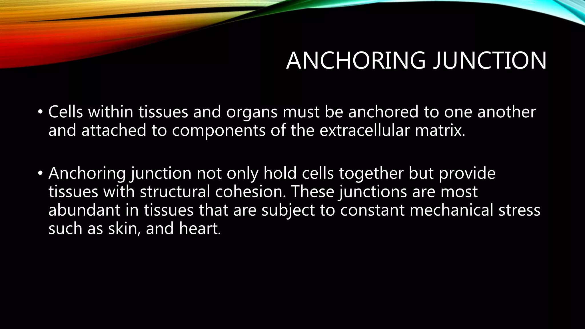 Cell junction | PPTX
