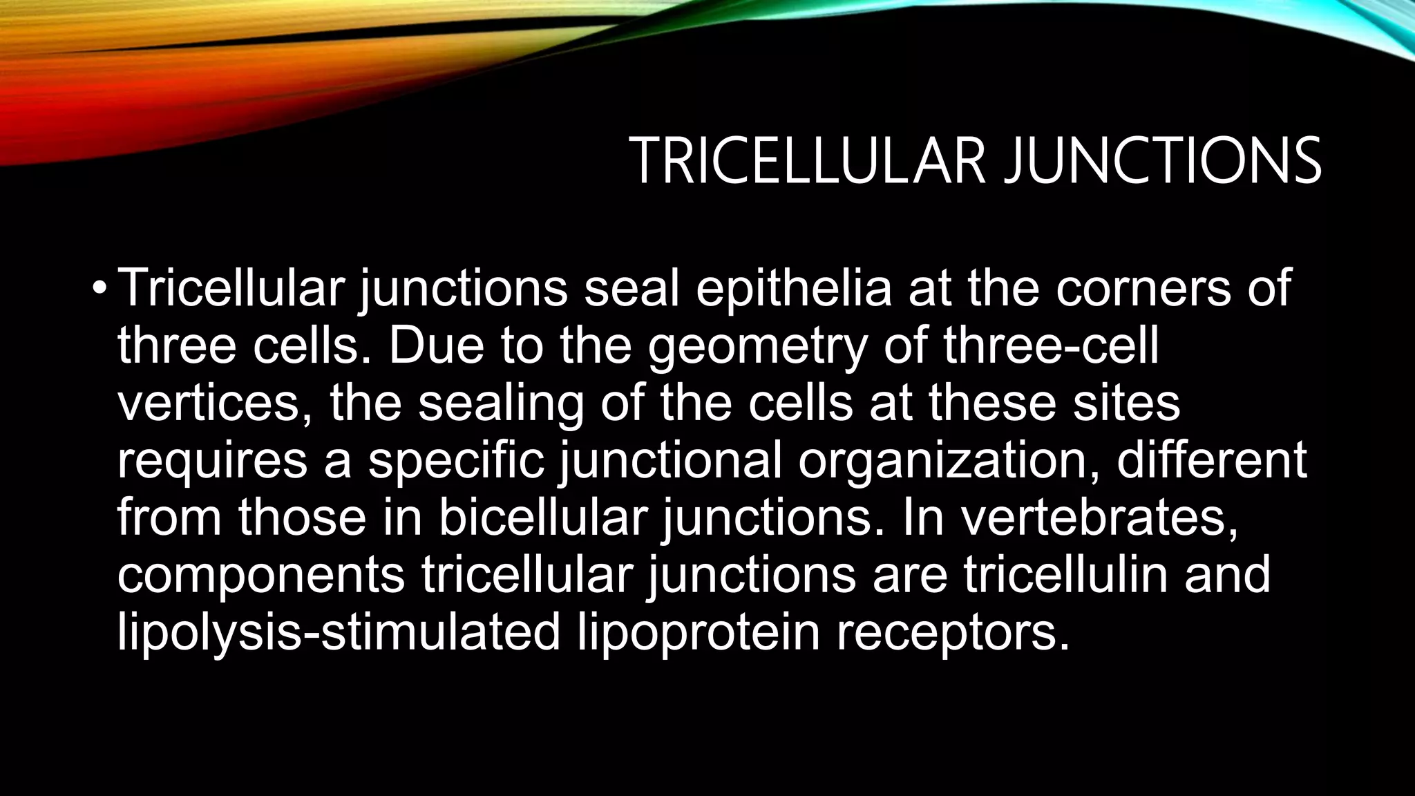 Cell junction | PPTX