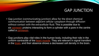 Cell junction | PPTX