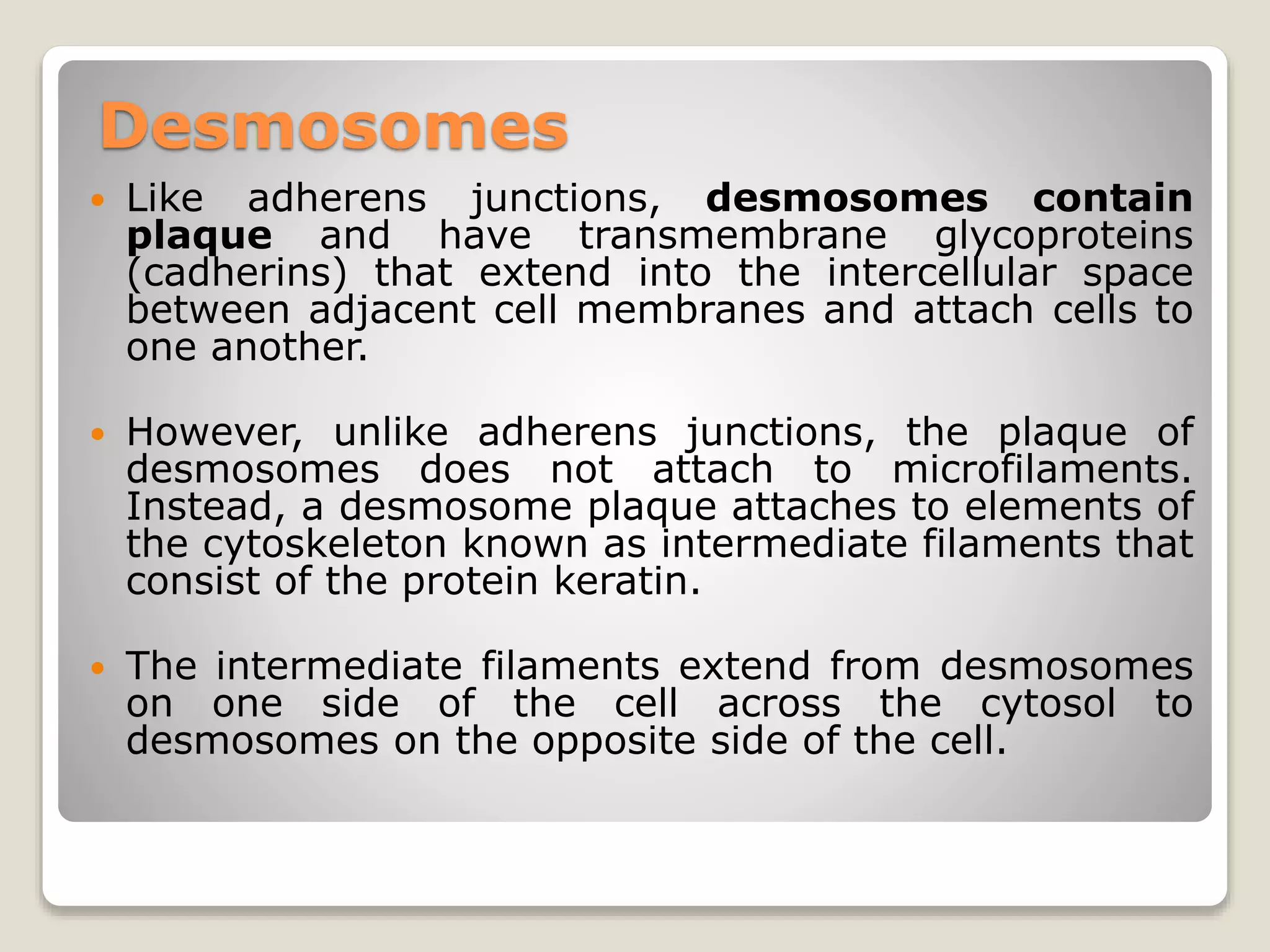 Cell_Junction.pptx
