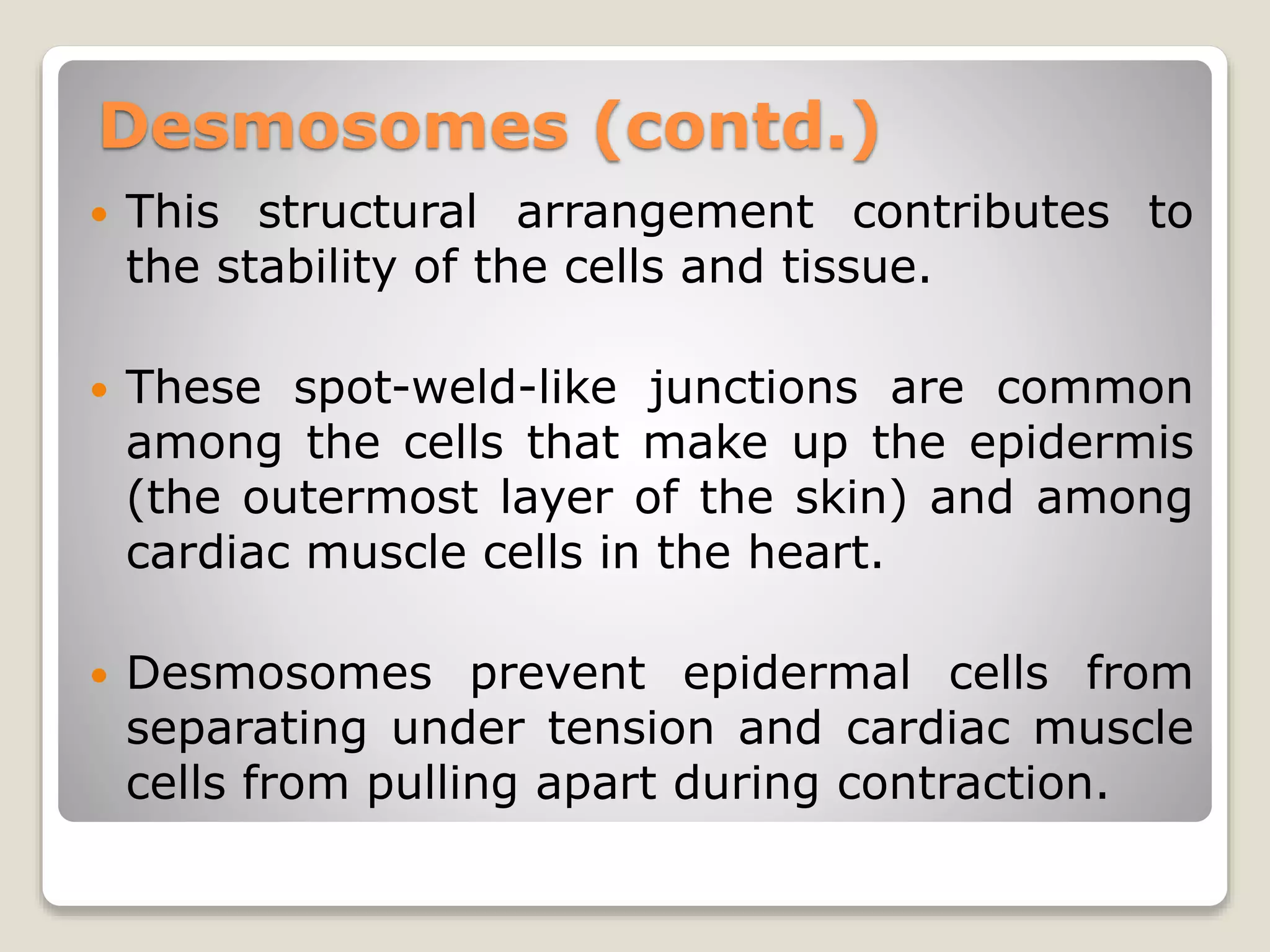 Cell_Junction.pptx