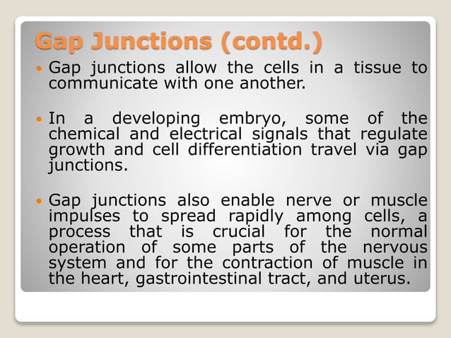Cell Junction Pptx