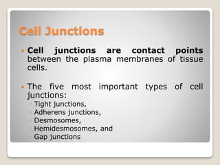 Cell_Junction.pptx