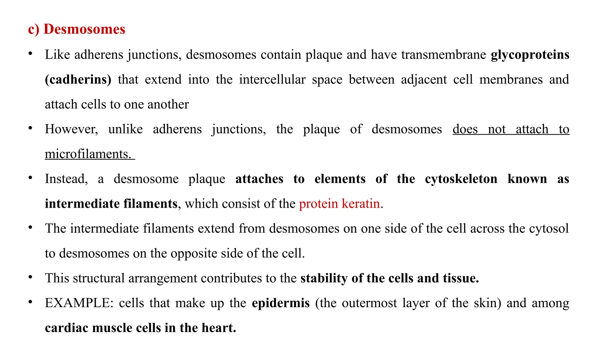 Cell Junction (Human Anatomy & Physiology) | PPTX
