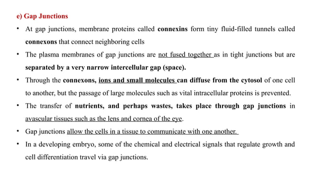 Cell Junction Human Anatomy And Physiology Pptx