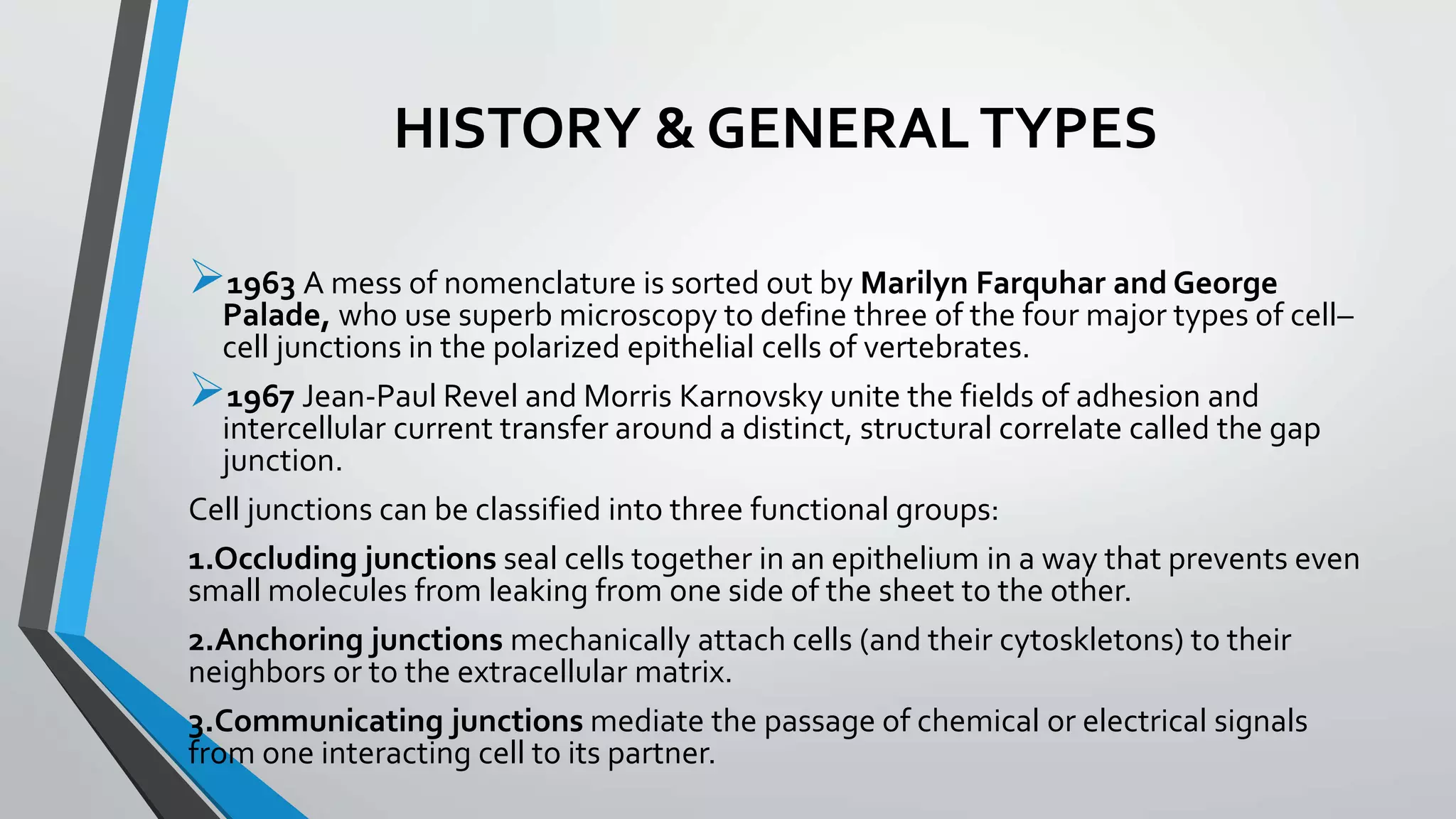 CELL JUNCTION-PRESENTATION-ALI RAZA TARIQ.docx.pptx