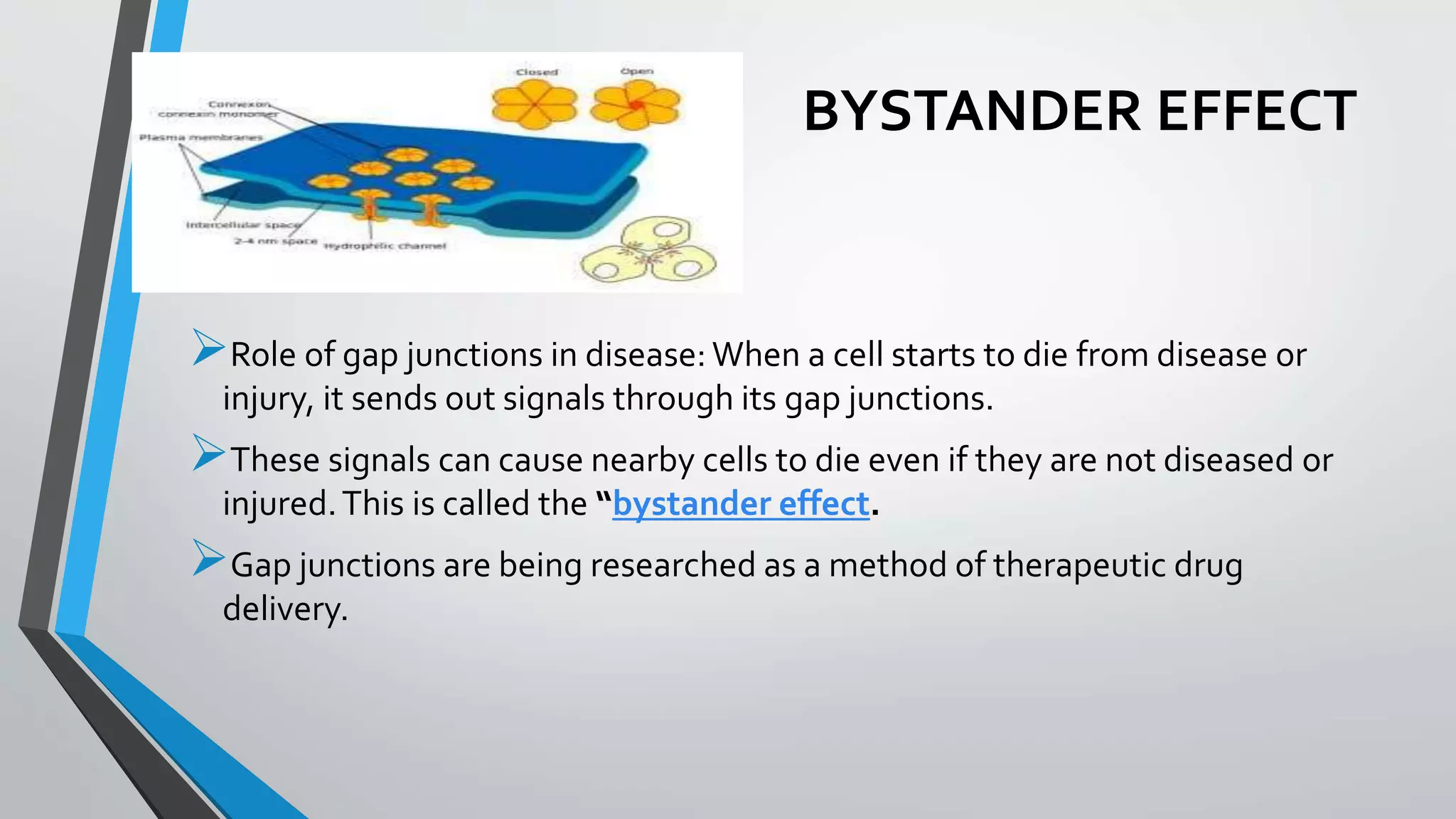 CELL JUNCTION-PRESENTATION-ALI RAZA TARIQ.docx.pptx