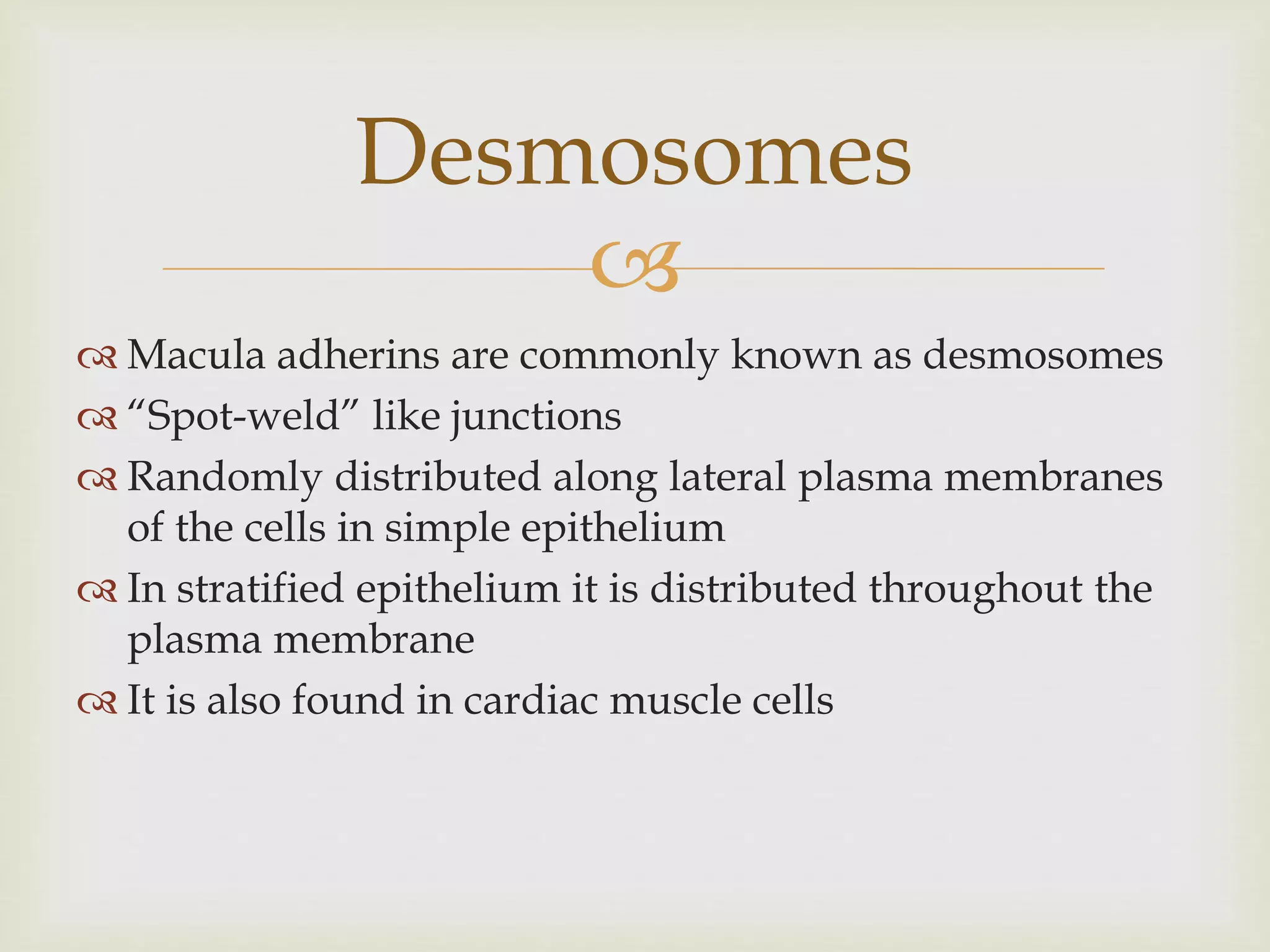 Cell junctions and cell division | PPTX
