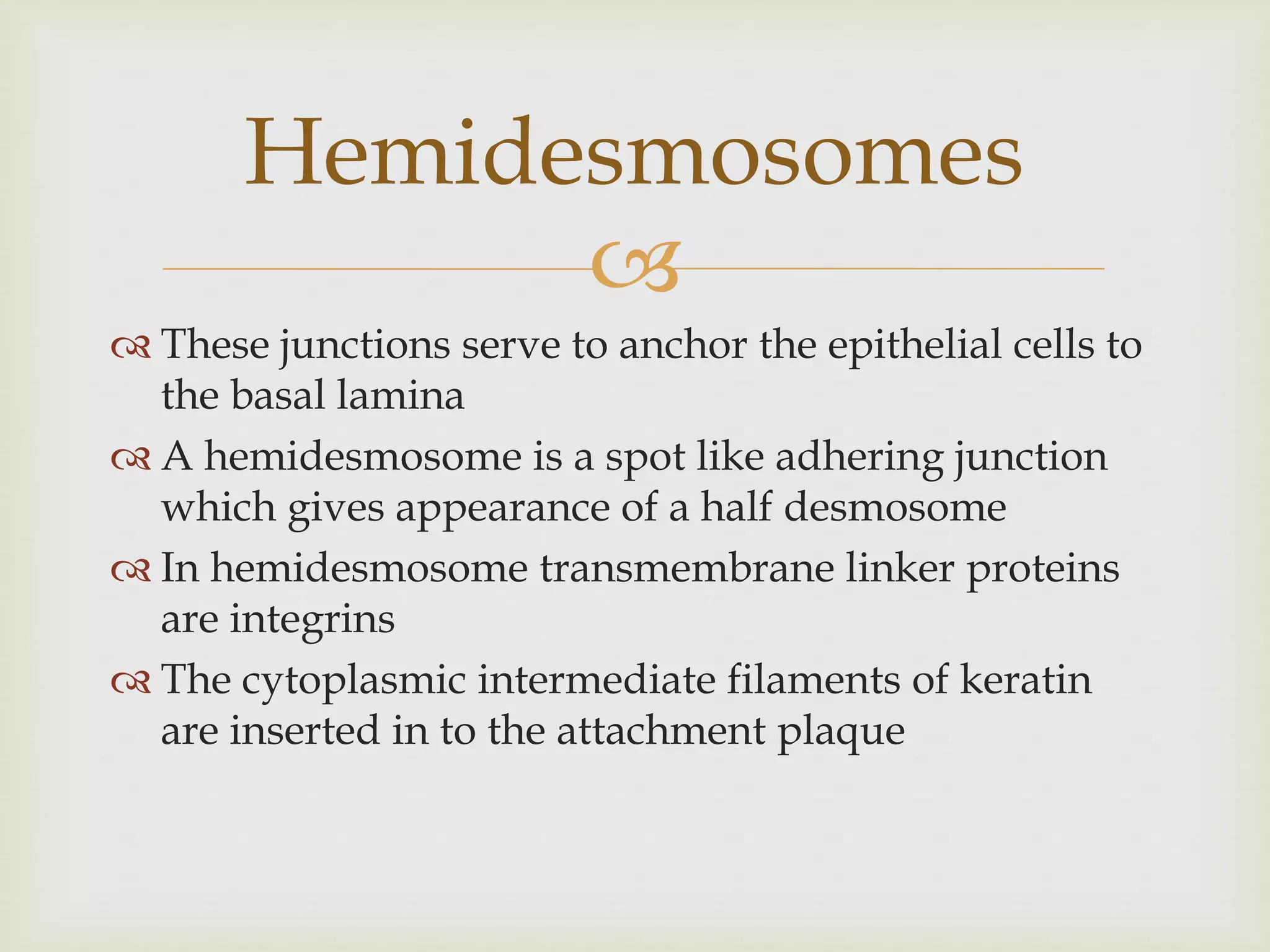 Cell junctions and cell division | PPTX