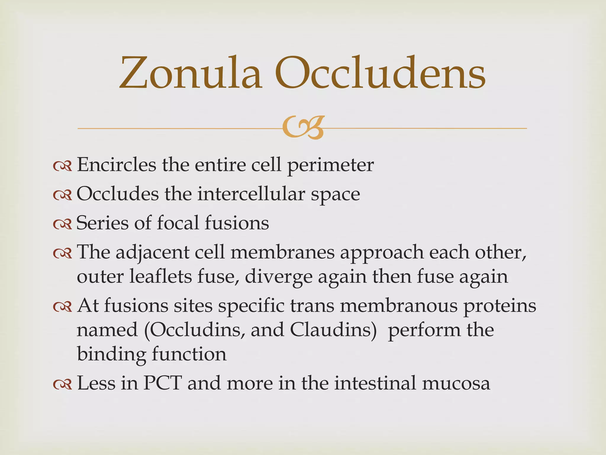 Cell junctions and cell division | PPTX