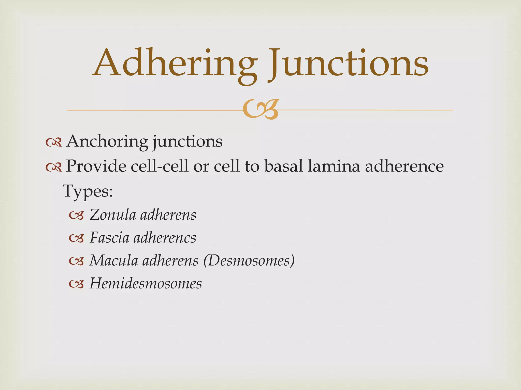Cell junctions and cell division | PPTX