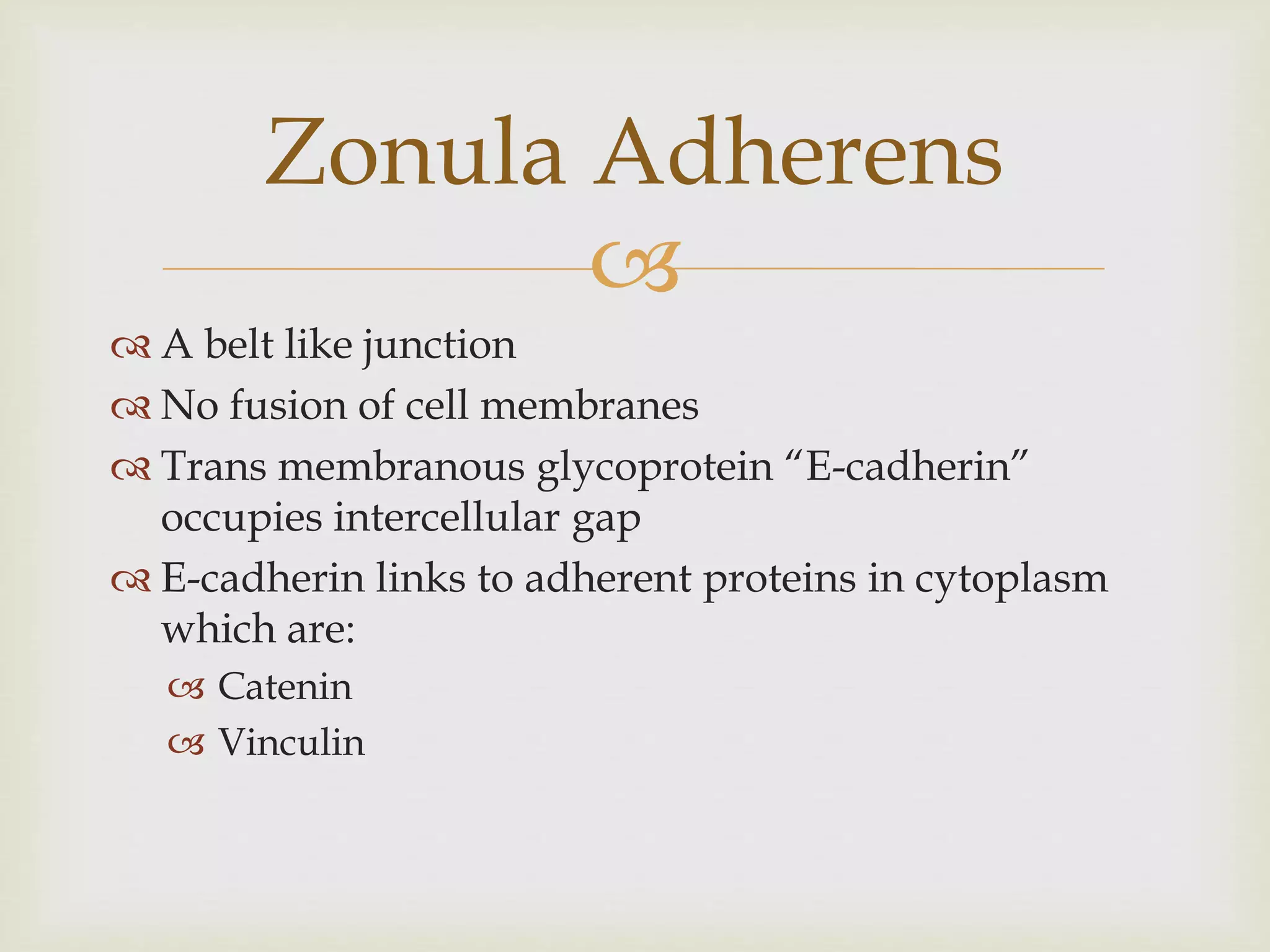 Cell junctions and cell division | PPTX