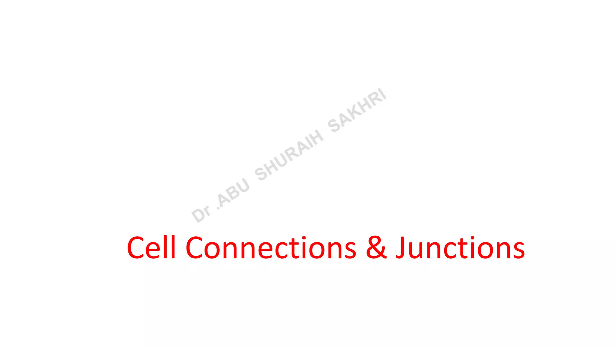 Cell Junctions | PPT