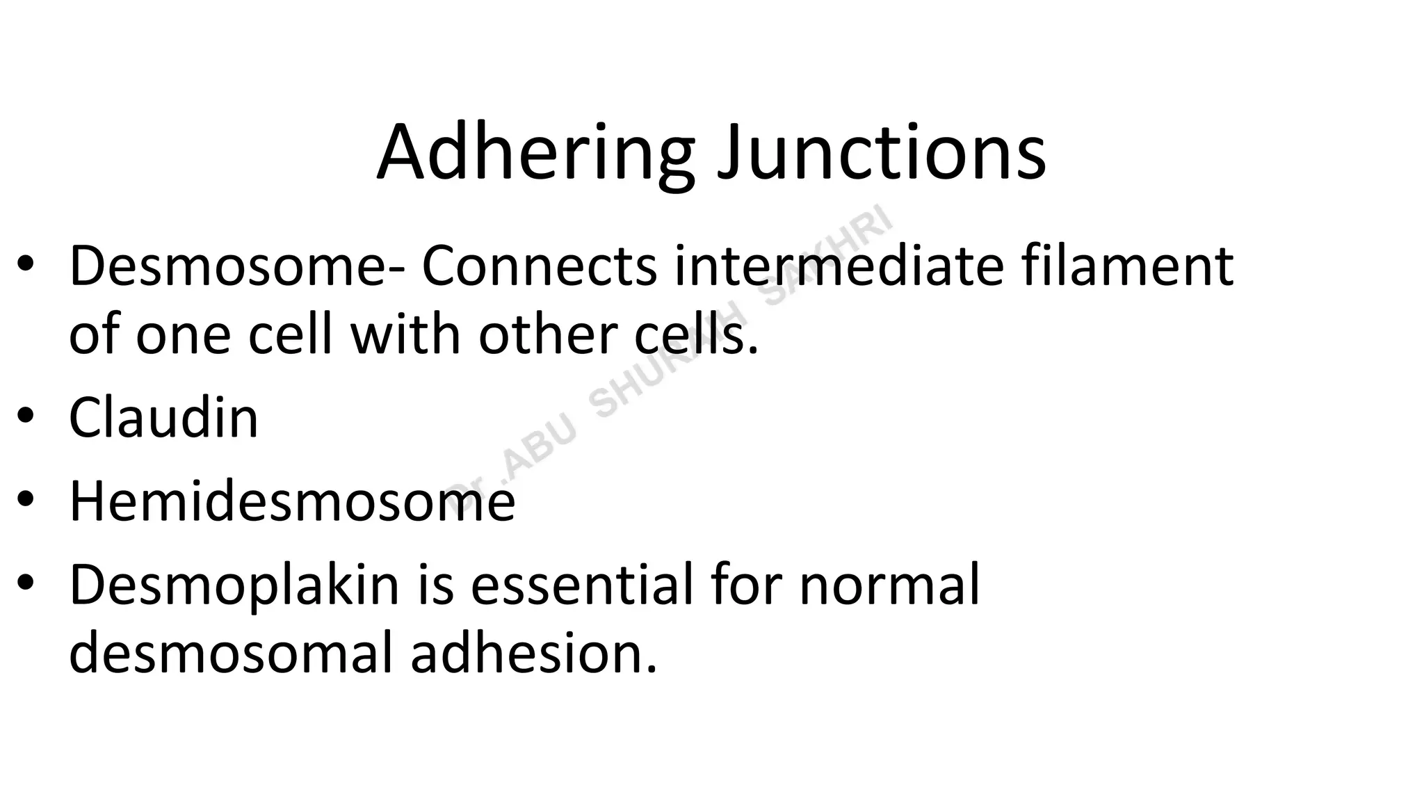 Cell Junctions | PPT