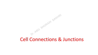 Cell Junctions | PPT