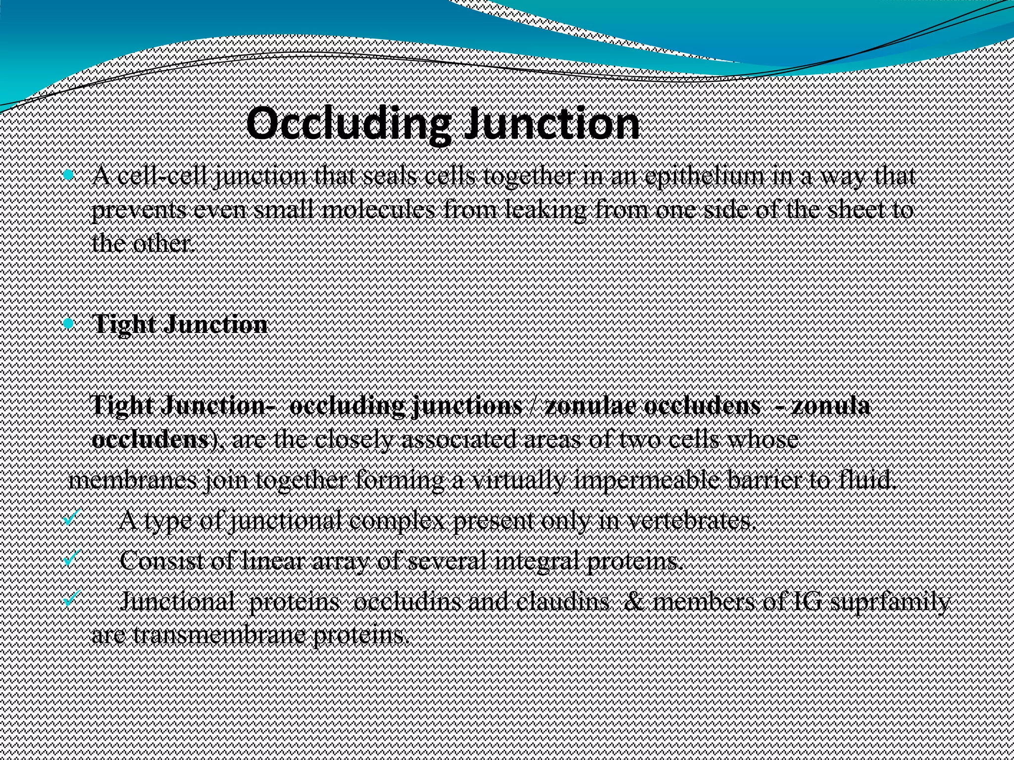 Cell_Junctions.ppt