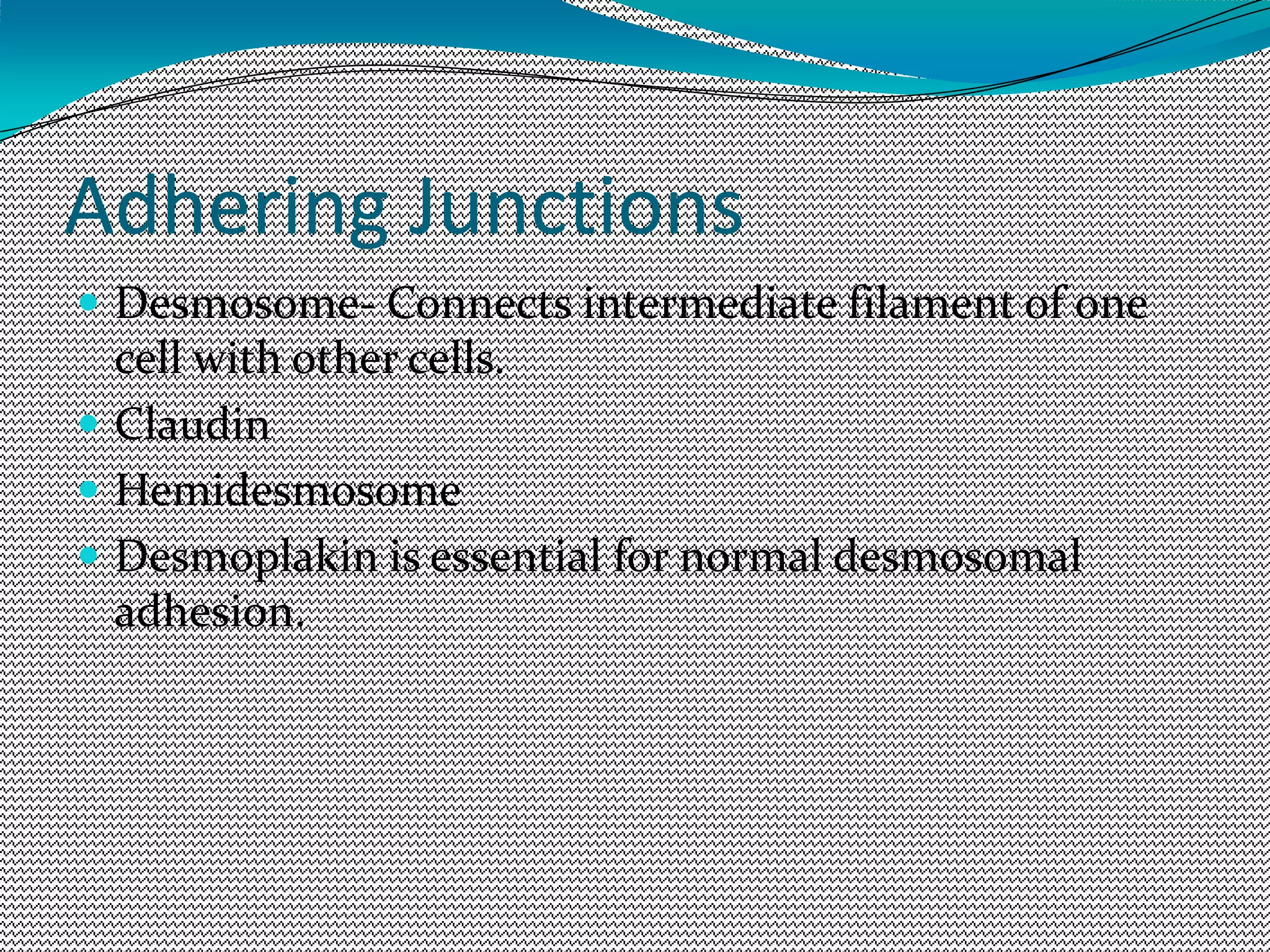 Cell_Junctions.ppt