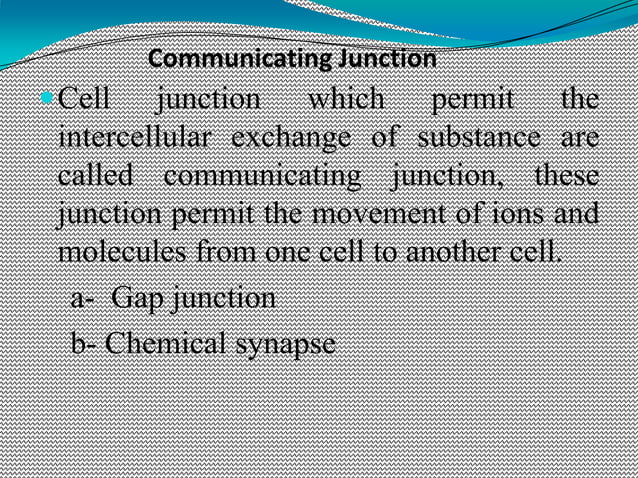 Cell_Junctions.ppt | Biological Sciences | Science