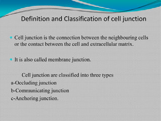 Cell_Junctions.ppt