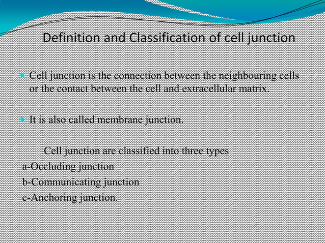Cell_Junctions.ppt | Biological Sciences | Science