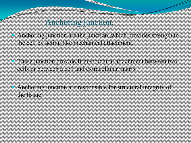 Cell_Junctions.ppt | Biological Sciences | Science