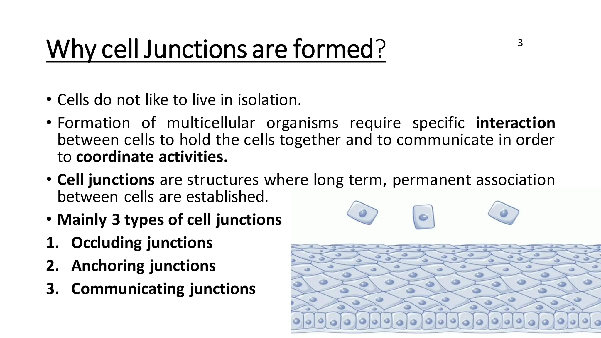Cell junctions : types and plasmodesmata | PDF
