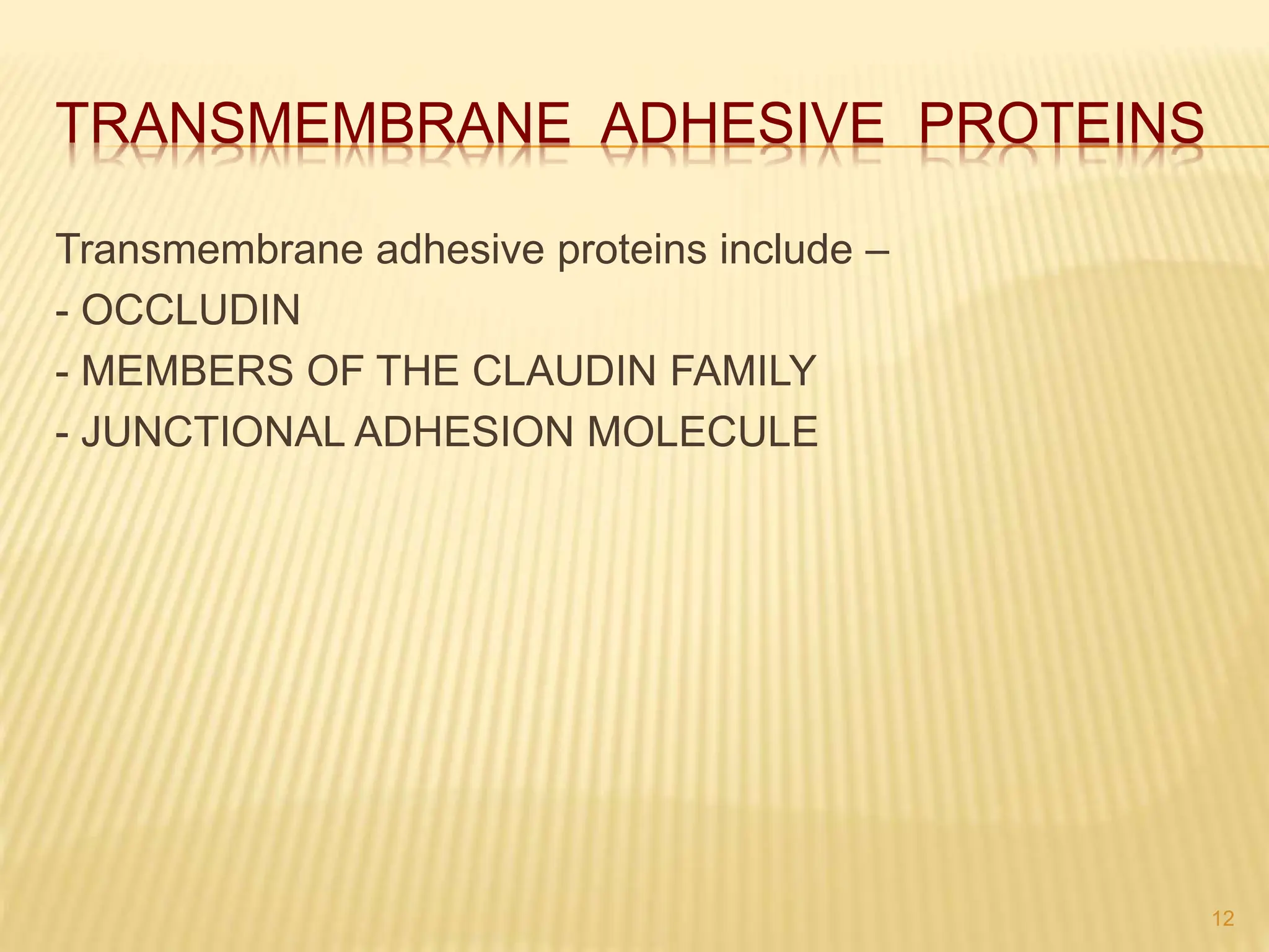 Cell junctions.pptx power point presentstion | PPT