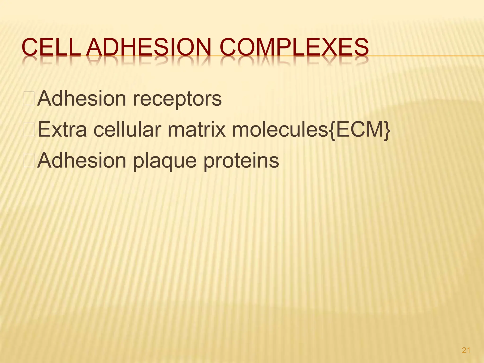 Cell junctions.pptx power point presentstion | PPT