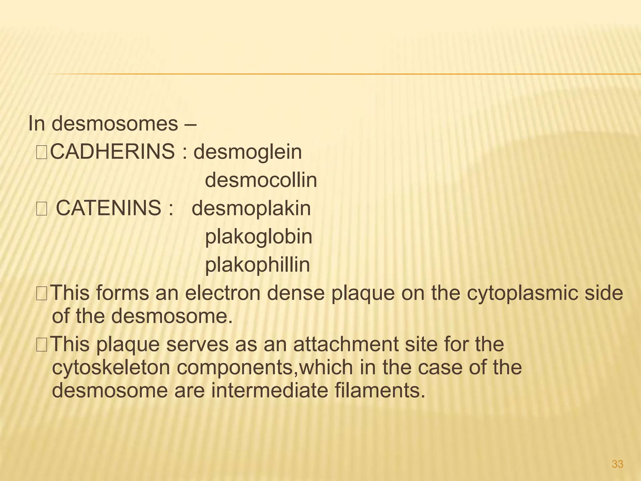 Cell Junctions Pptx Power Point Presentstion Ppt