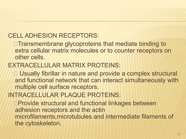 Cell Junctions Pptx Power Point Presentstion Ppt