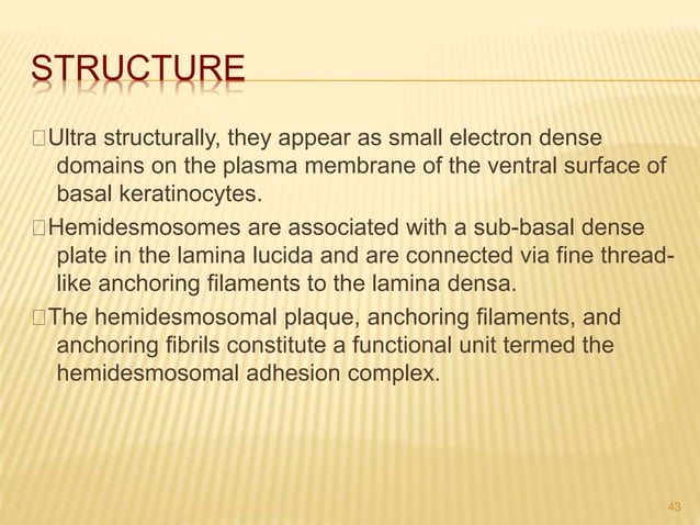 Cell junctions.pptx power point presentstion | PPT