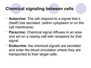 Cell_Junctions.ppt ppt about cell junctions | PPT
