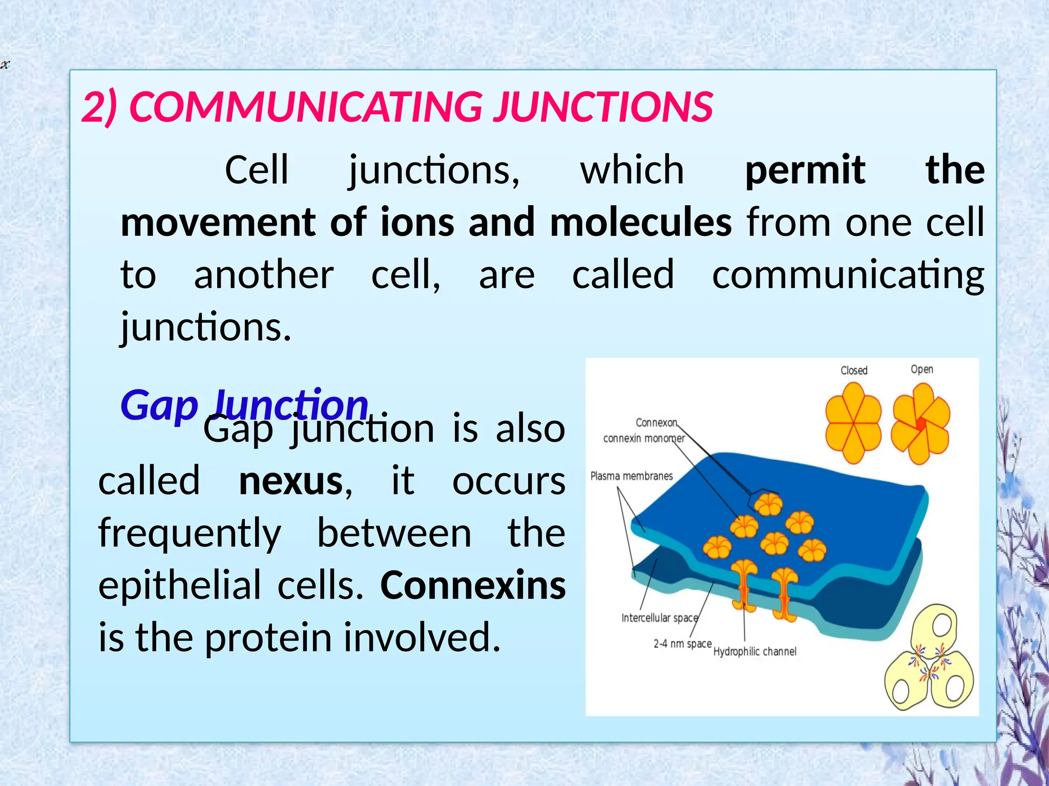 CELL JUNCTIONS/membrane junction in physiology | PPTX