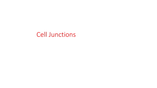 Cell Junctions | PPT | Biological Sciences | Science