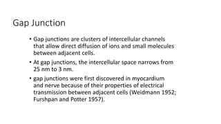 Cell Junctions | PPT