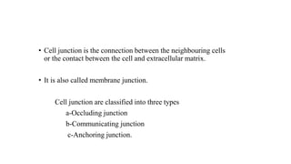 Cell Junctions | PPT