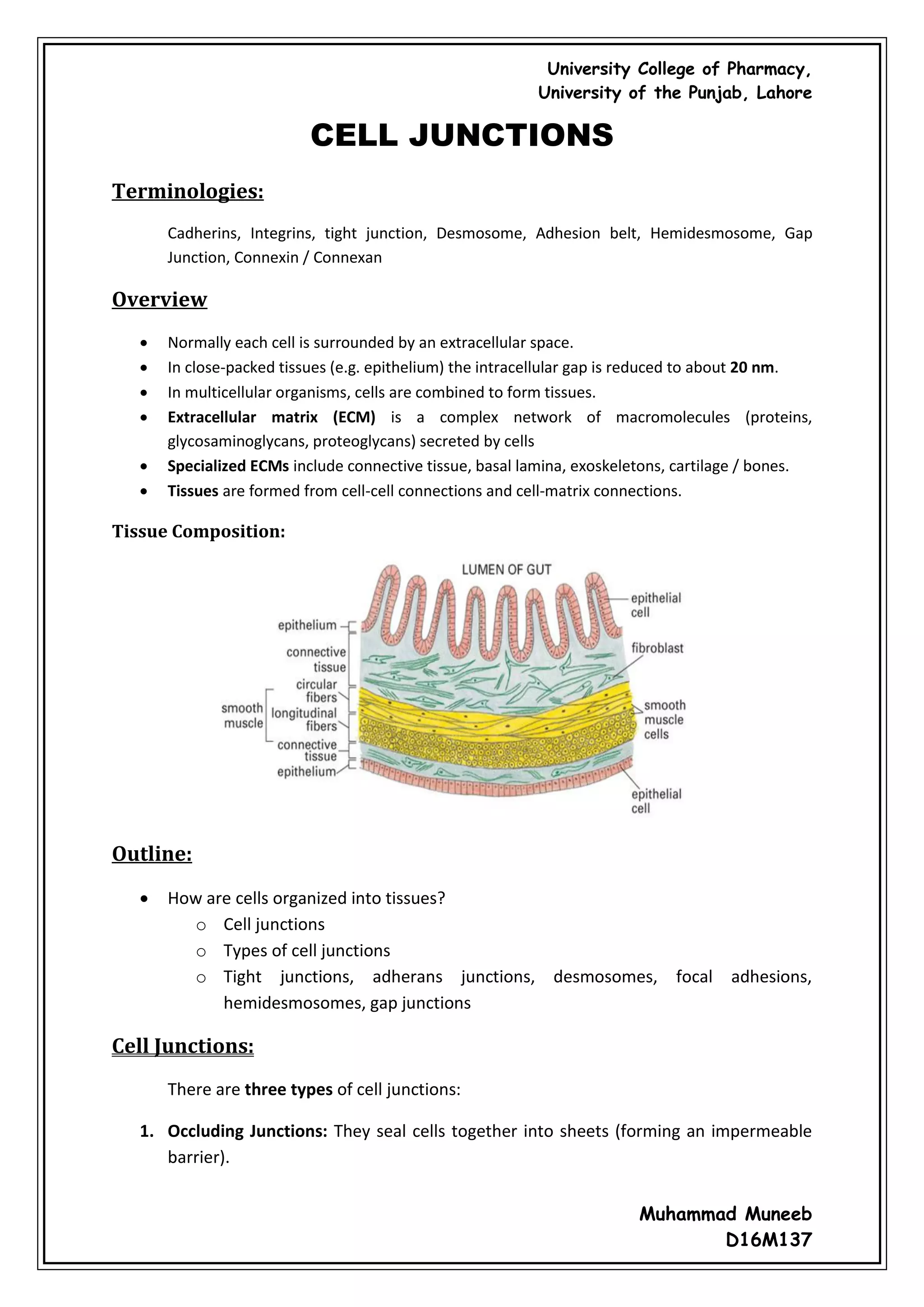 Cell junctions and the extracellular matrix | PDF