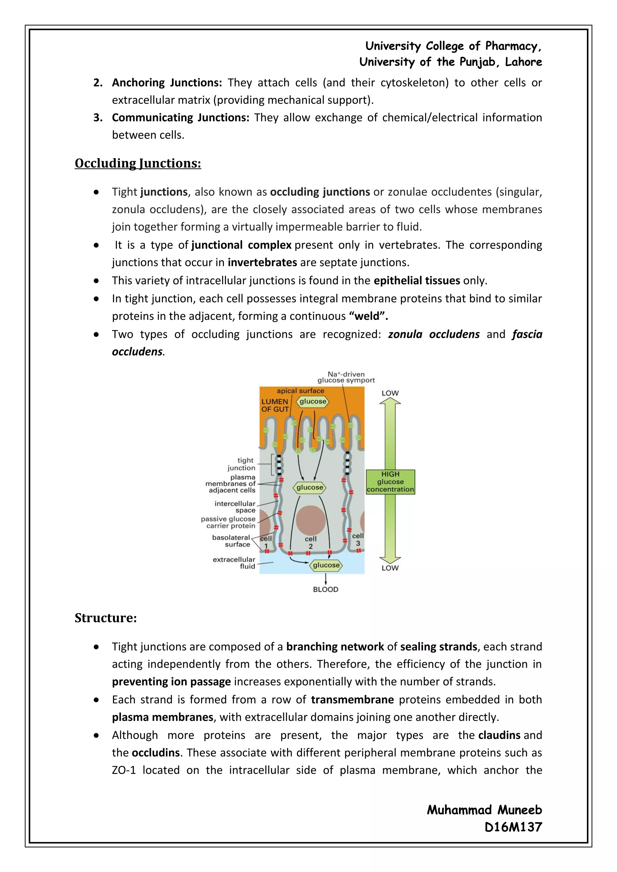 Cell junctions and the extracellular matrix | PDF