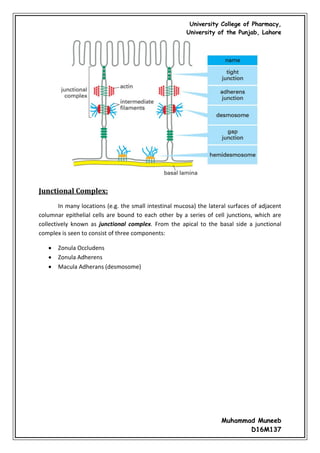 Cell junctions and the extracellular matrix | PDF