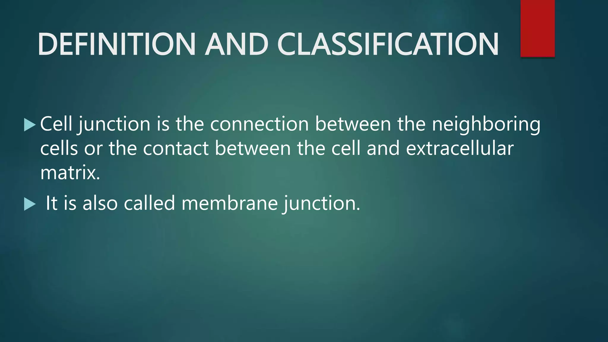 CELL JUNCTIONS lecture .pptx
