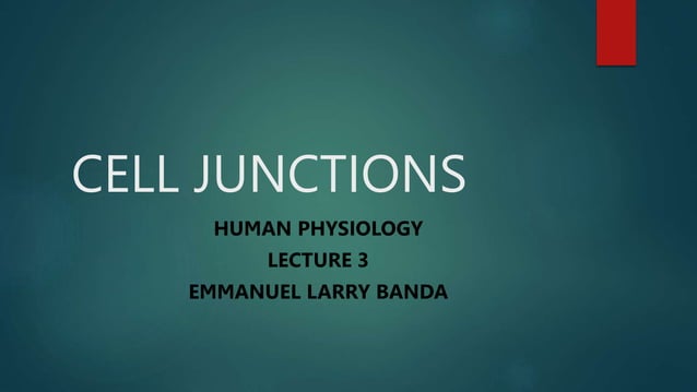 CELL JUNCTIONS lecture .pptx