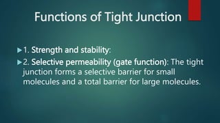 CELL JUNCTIONS lecture .pptx