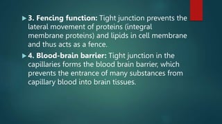CELL JUNCTIONS lecture .pptx
