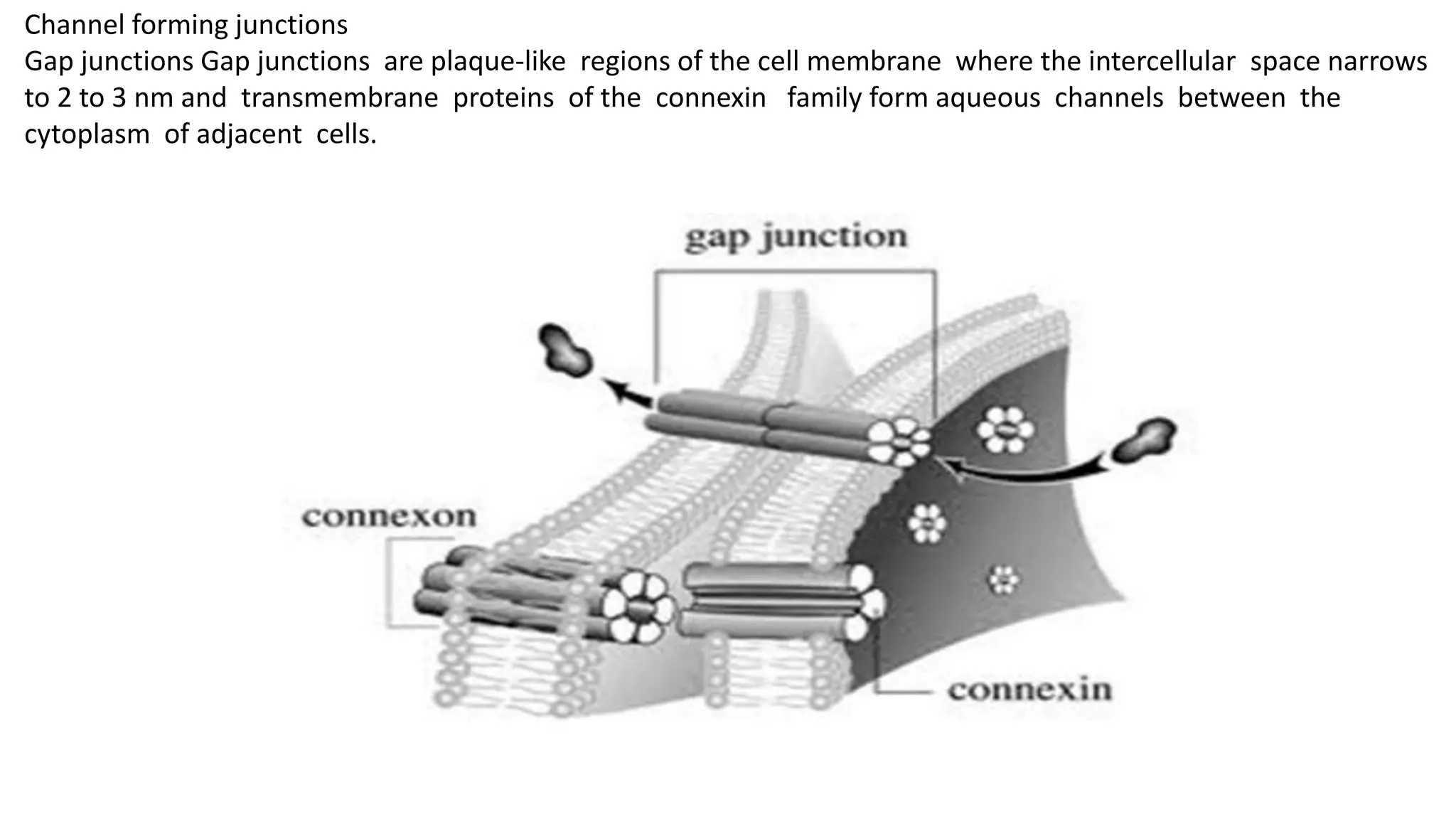 Cell junctions ppt | PPTX