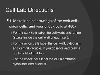 Cell lab | PPT