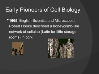 Cell lab | PPT